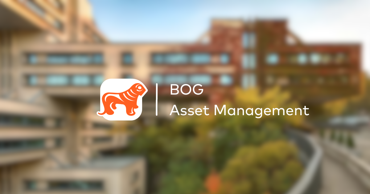 Home - Asset Management | BGEO Group